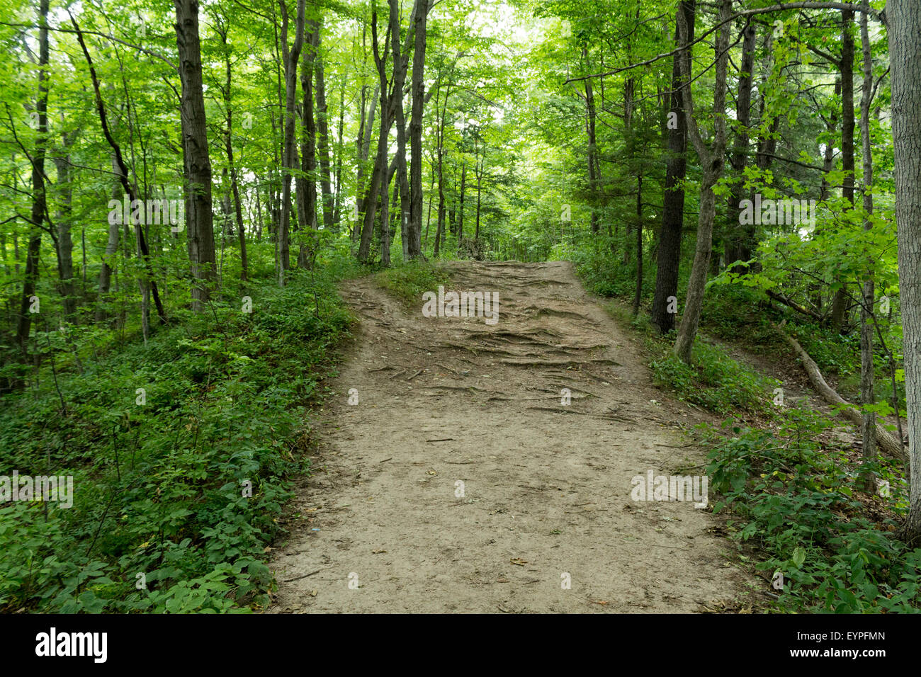 Hiker path through the Rouge Valley Conservation Centre Stock Photo - Alamy