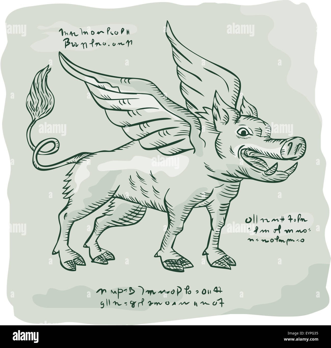 Etching engraving handmade style illustration of a winged wild boar ...