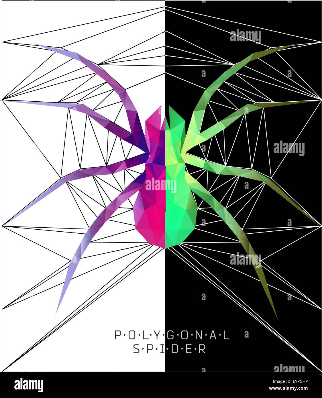 Polygonal spider. Geometric illustration Stock Vector Image & Art - Alamy