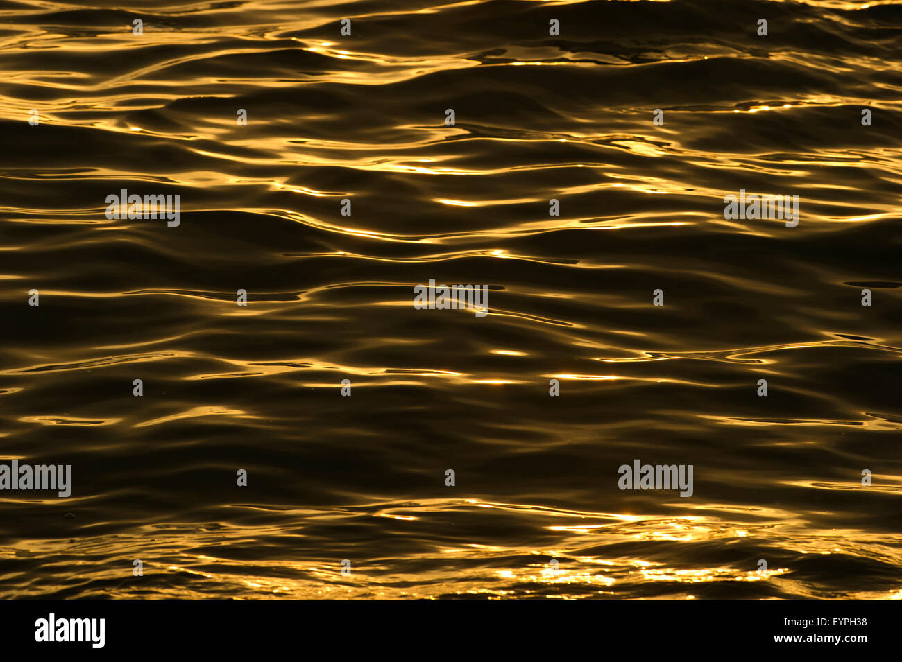 Ripples are beautiful golden surreal wave patterns on the water to form ...