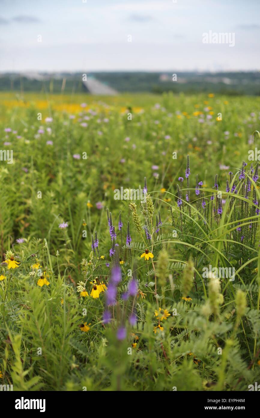 Native american preservation hi-res stock photography and images - Alamy