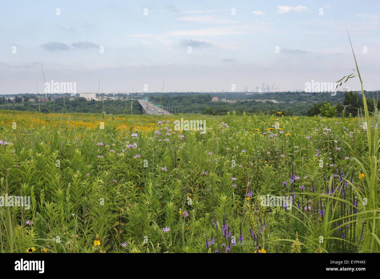 Pilot native hi-res stock photography and images - Alamy