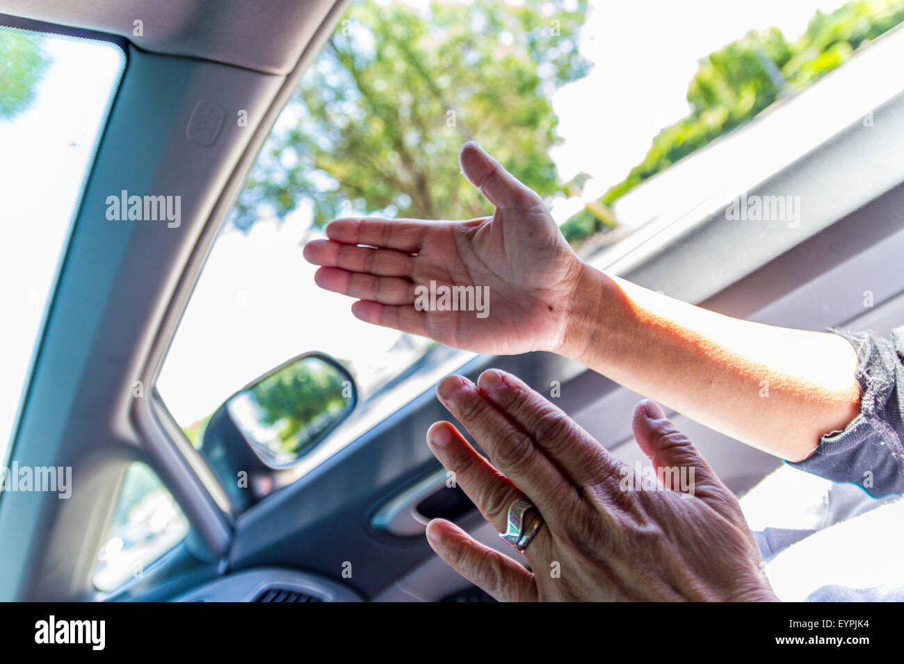 A woman passenger gestures with her hands while having a conversation ...