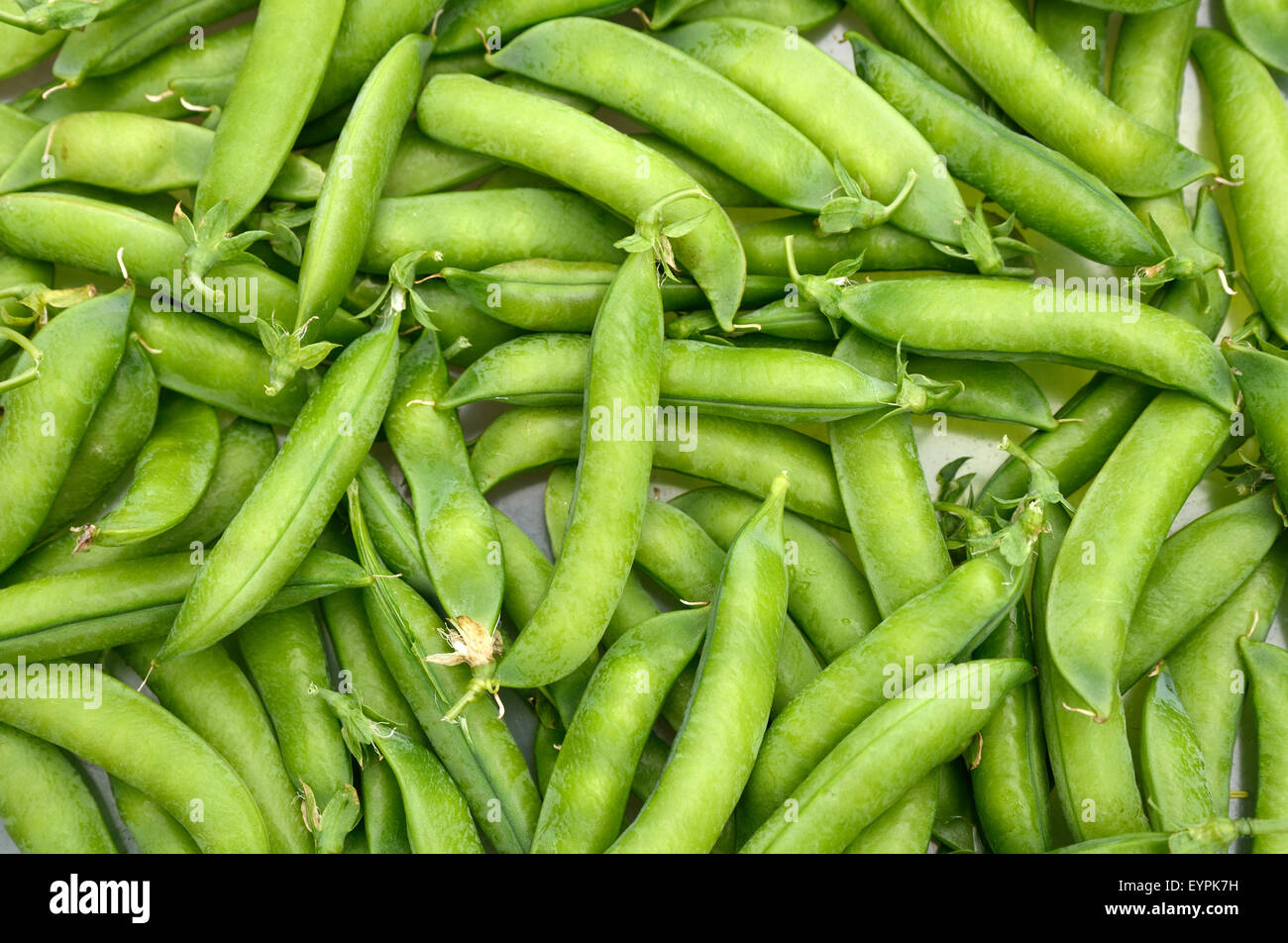 Cropping legumes hi-res stock photography and images - Alamy