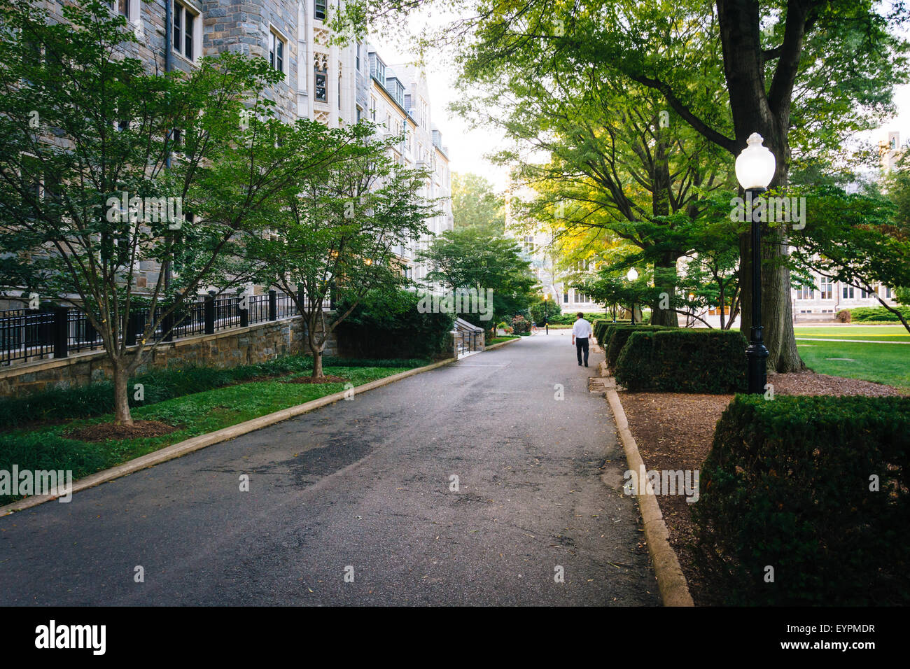 University of dc hi-res stock photography and images - Alamy