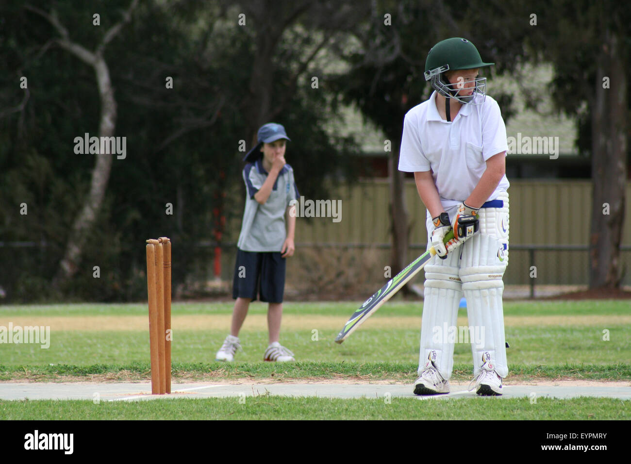 Cricket face hi-res stock photography and images - Alamy