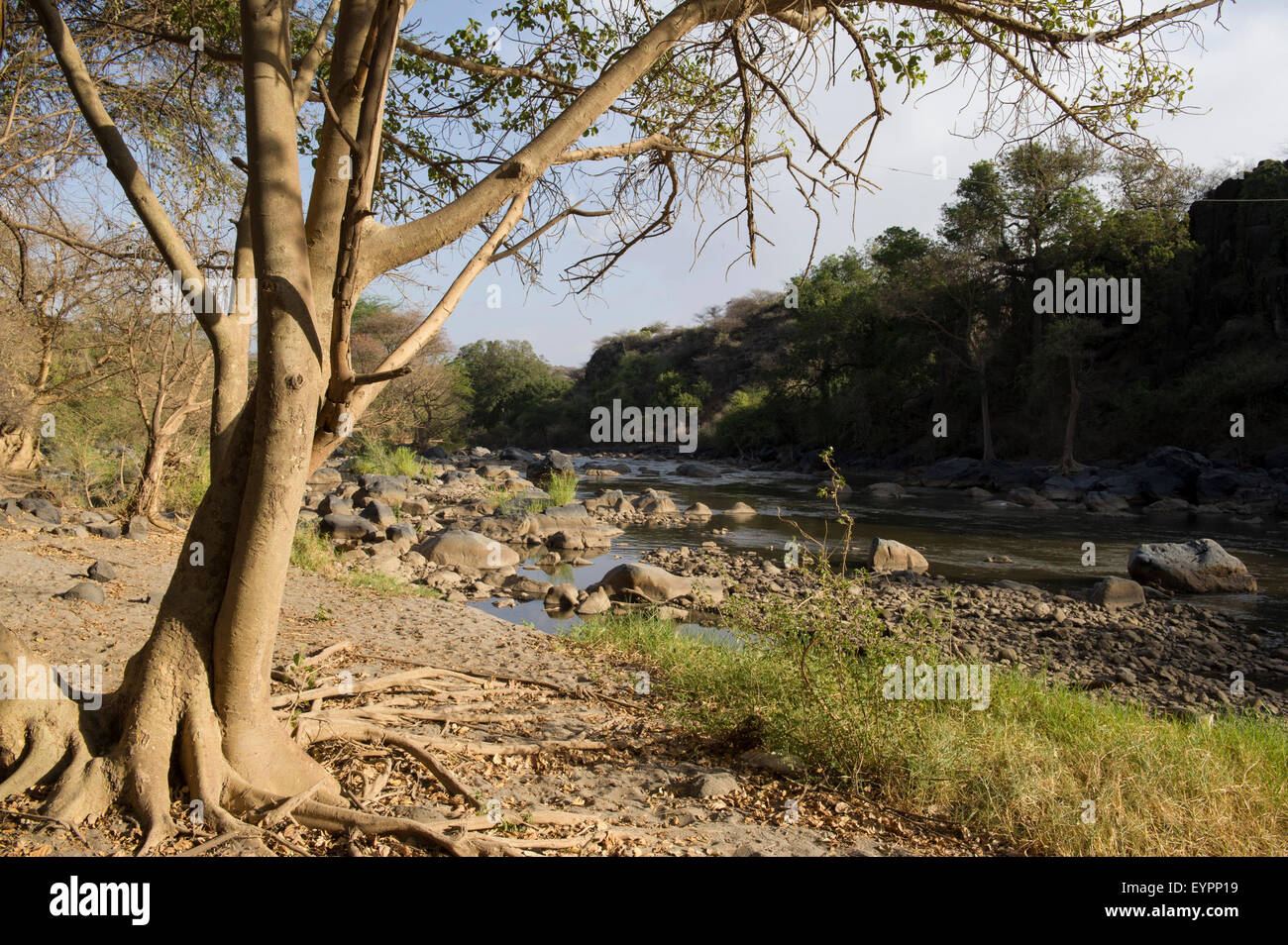 Ethiopian river hi-res stock photography and images - Alamy