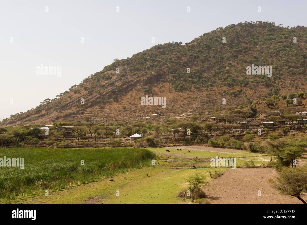 The island of Tullo Guddo on Lake Ziway, Ethiopia Stock Photo - Alamy