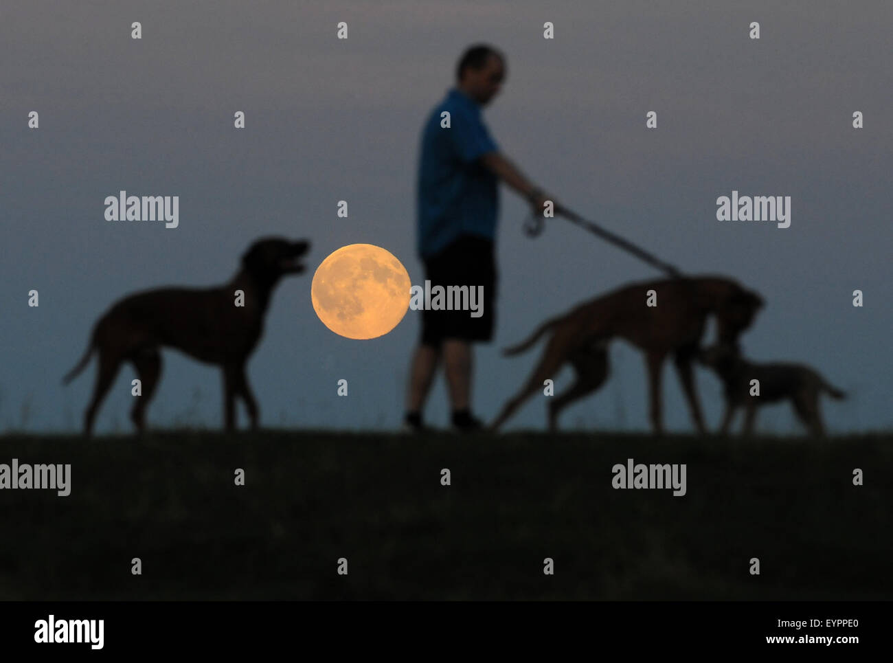 A rising full moon is seen on Friday, July 31, 2015, in Chroboly, Czech ...