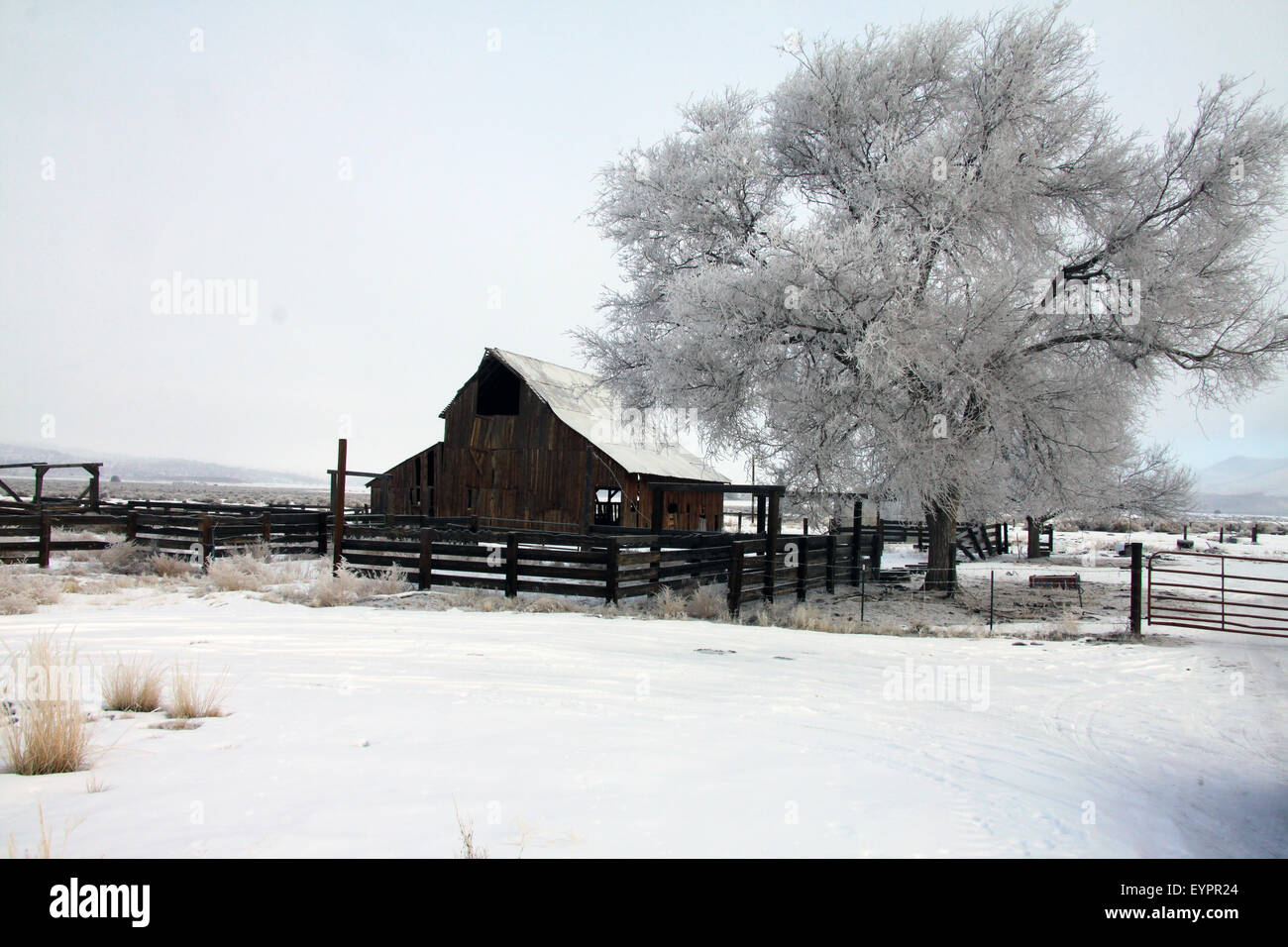 Frozen barn hi-res stock photography and images - Alamy