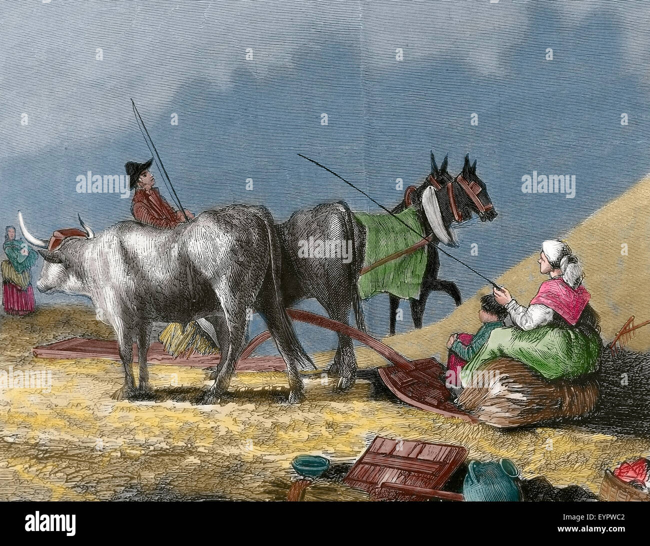 Grain farmer thrash hi-res stock photography and images - Alamy