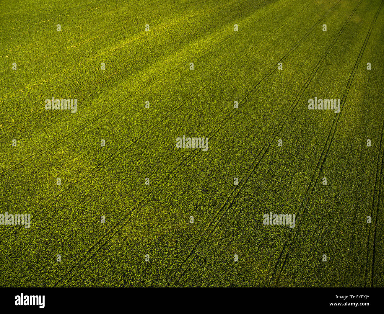 Farmland from above - aerial image of a lush green filed Stock Photo ...