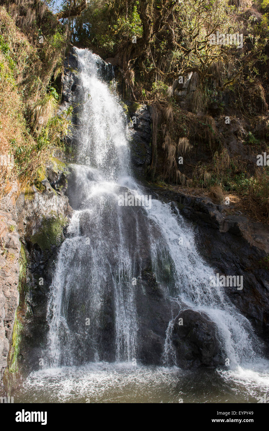 Waterfall, Harenna Forest, Bale Mountains National Park, Ethiopia Stock ...