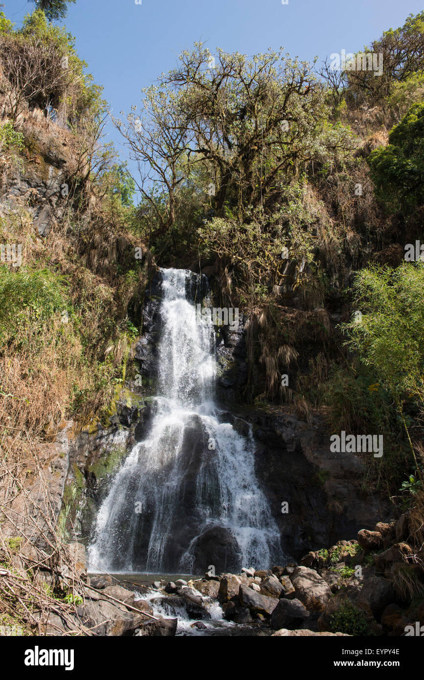 Waterfall, Harenna Forest, Bale Mountains National Park, Ethiopia Stock ...
