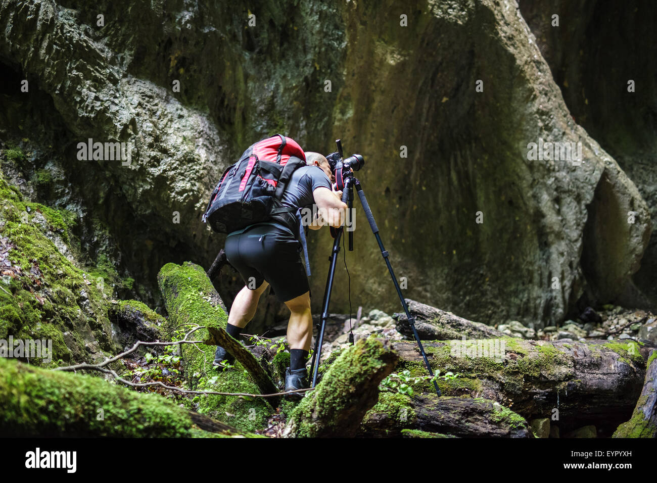 Professional nature photographer shooting landscapes in a canyon, from ...