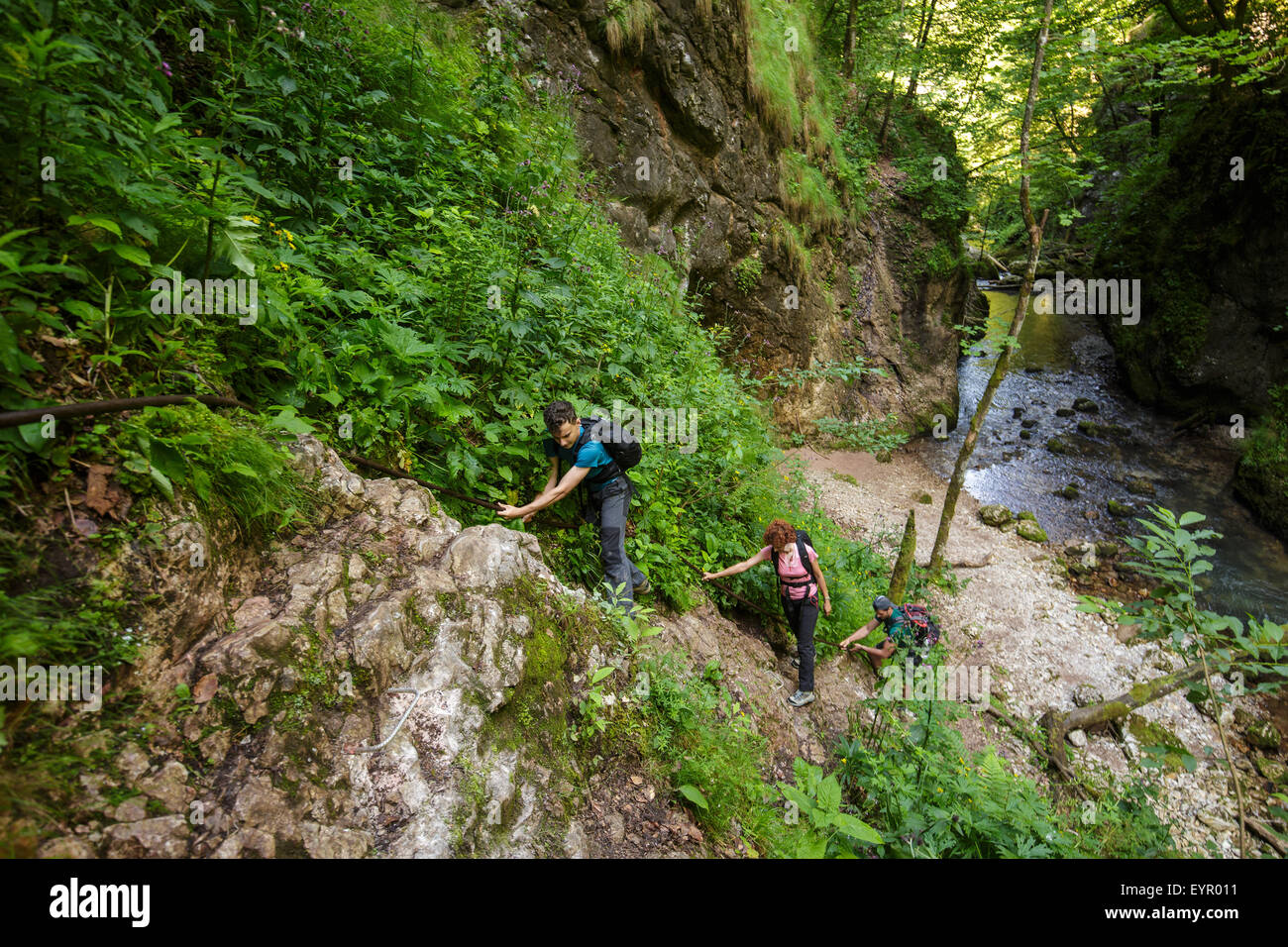 Family of hikers climbing on safety cables in a canyon Stock Photo - Alamy