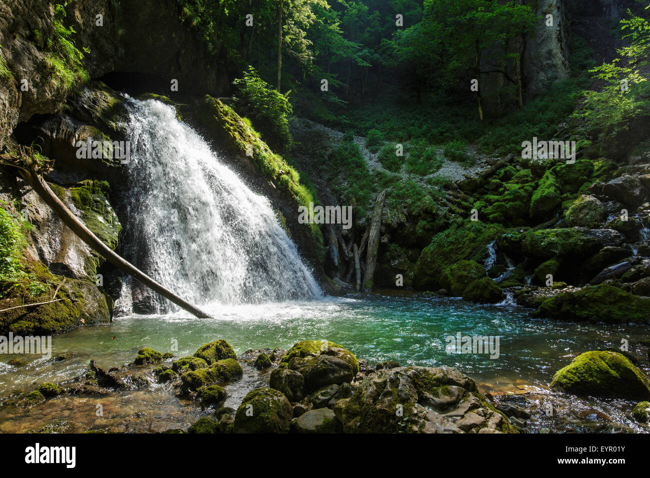 Landscape with a waterfall in a gorge and lush vegetation Stock Photo ...