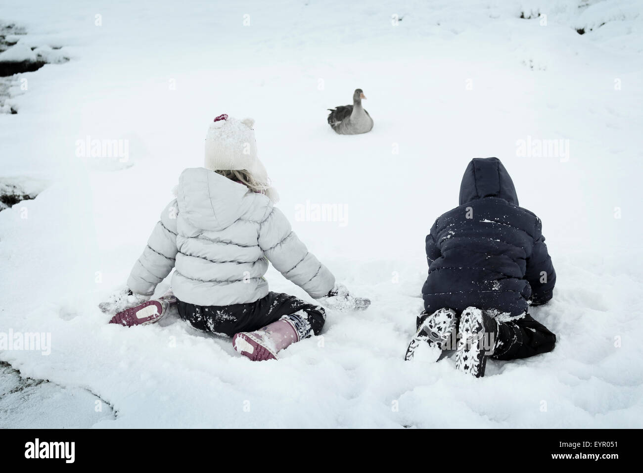 Playing in the Snow Stock Photo - Alamy