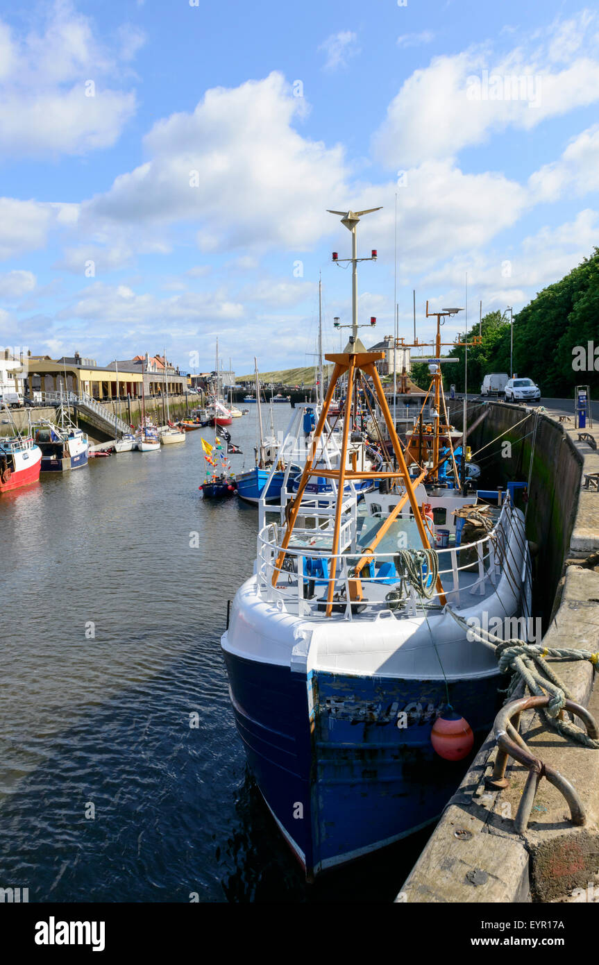 Uk scottish towns harbour harbours port ports boat boats hi-res stock ...