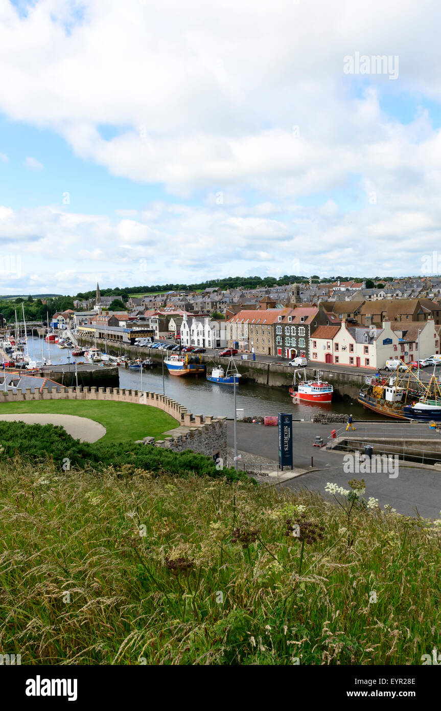 Eyemouth scotland fishing boat hi-res stock photography and images - Alamy