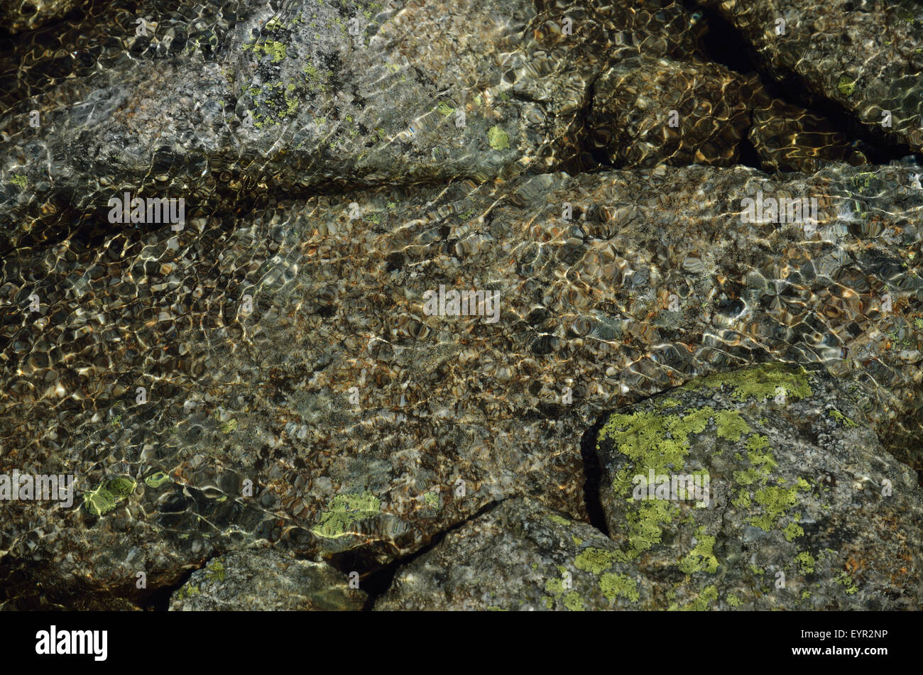 Rocks under clear water in the mountain stream Stock Photo - Alamy