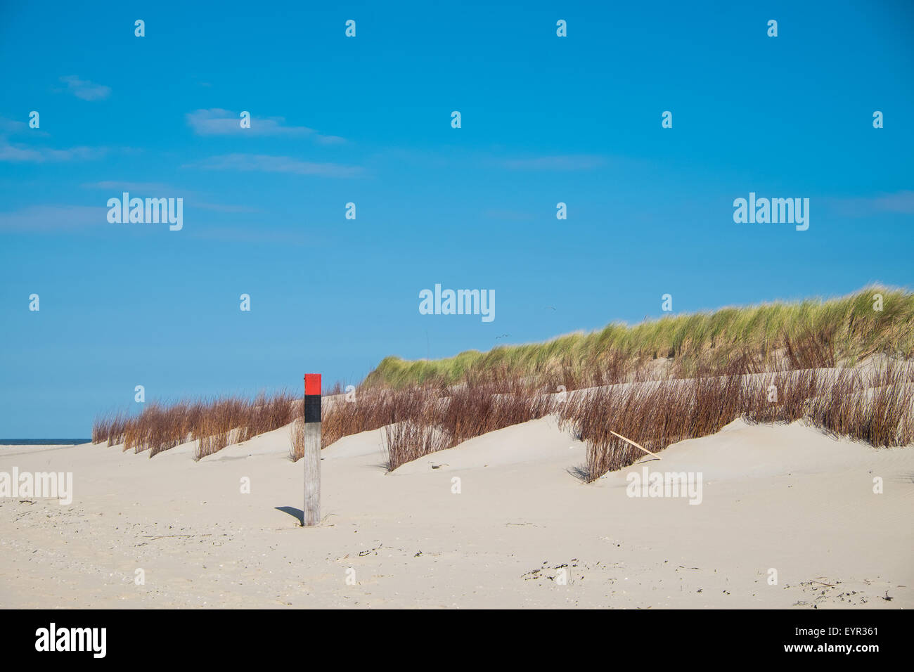Beach and dunes at the Dutch island Texel with sea, blue sky Stock ...