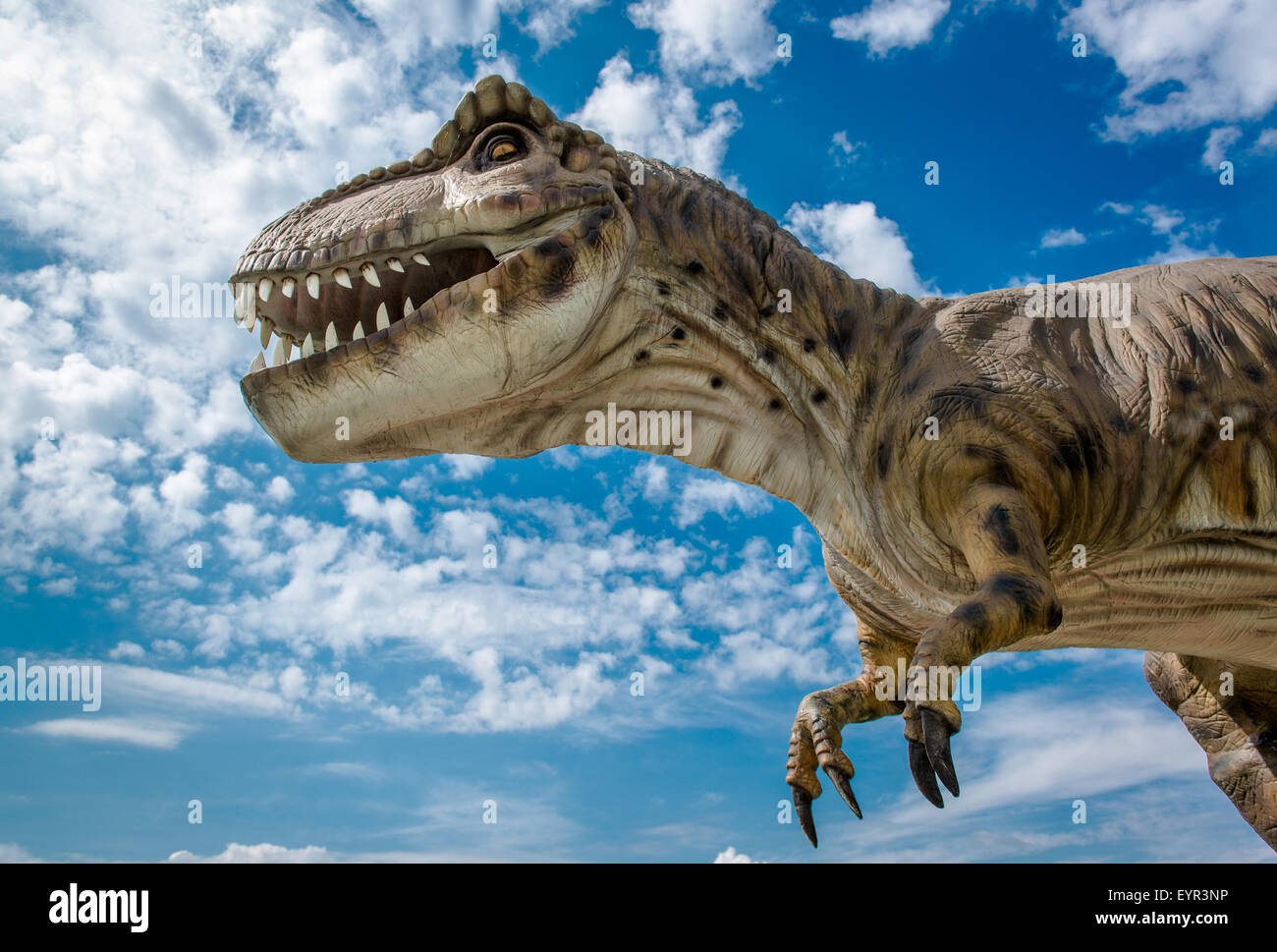 Tyrannosaurus rex dinosaur realistic hi-res stock photography and ...