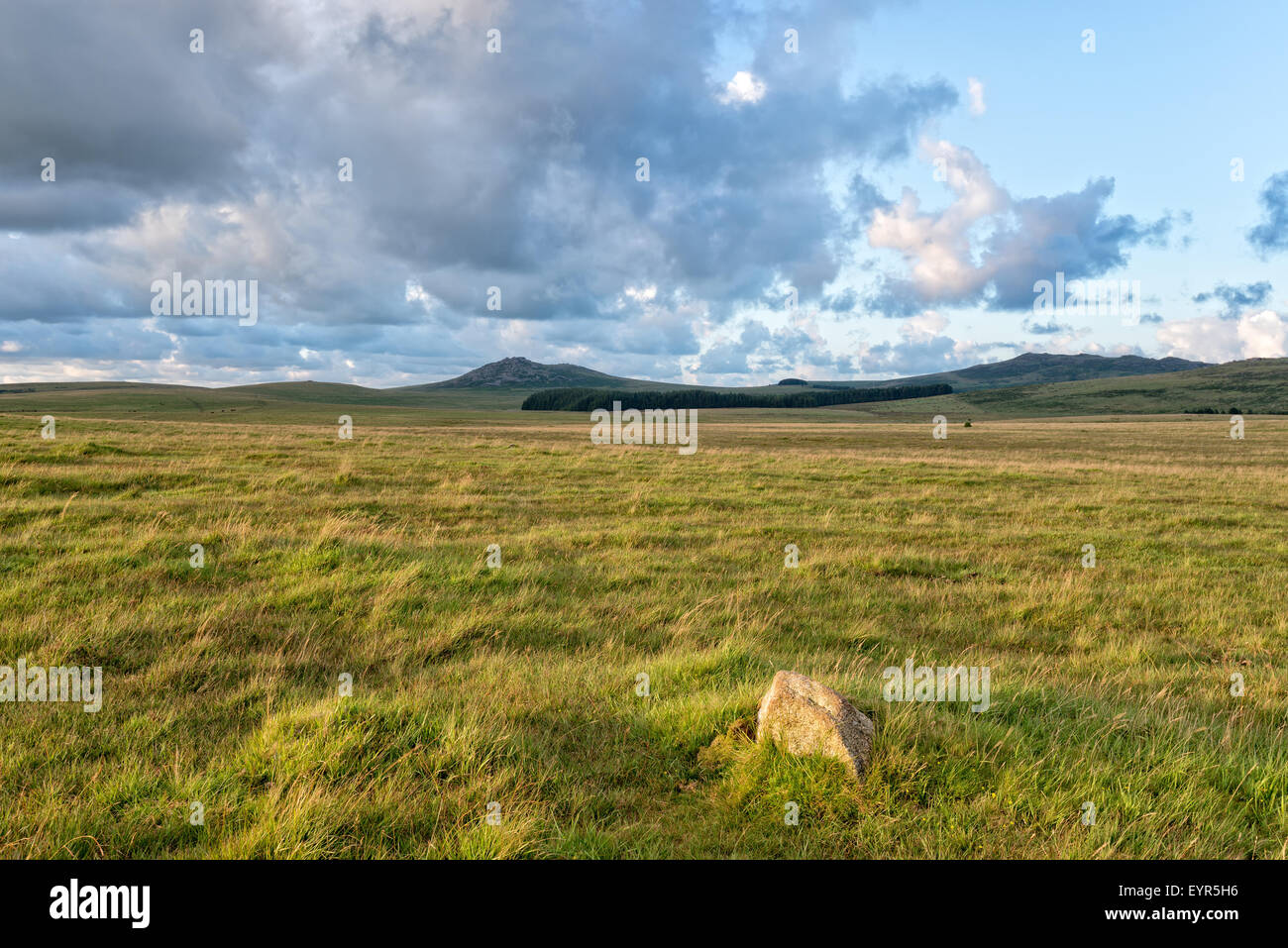Grassy plains hi-res stock photography and images - Alamy
