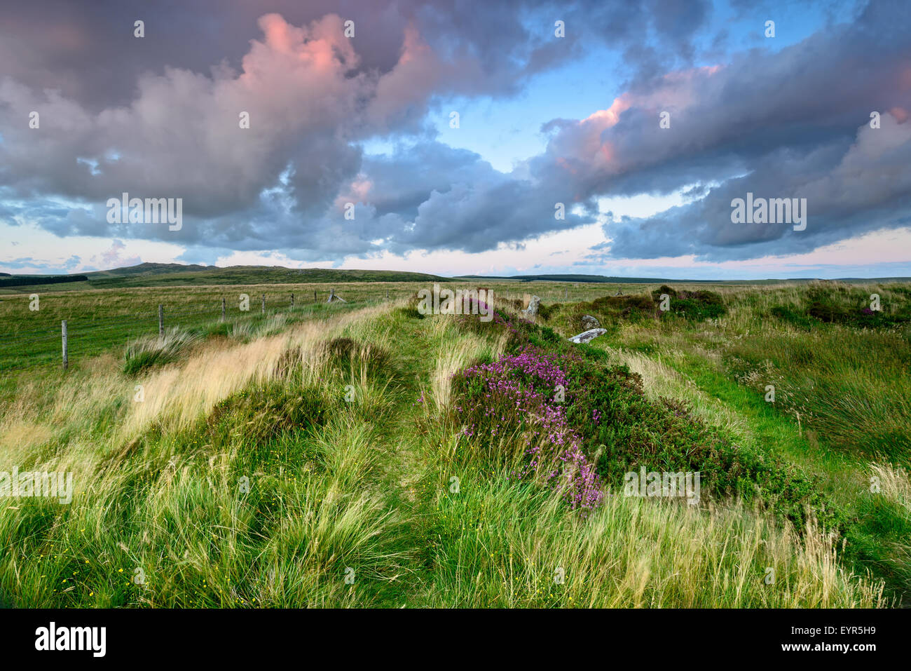 King Arthur's Hall, a neolithic monument on Bodmin Moor in Cornwall ...