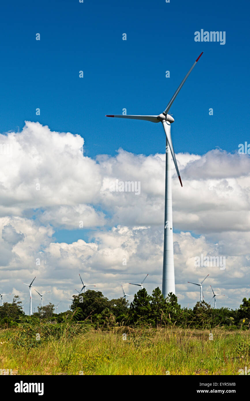 wind power, Brazil Stock Photo - Alamy