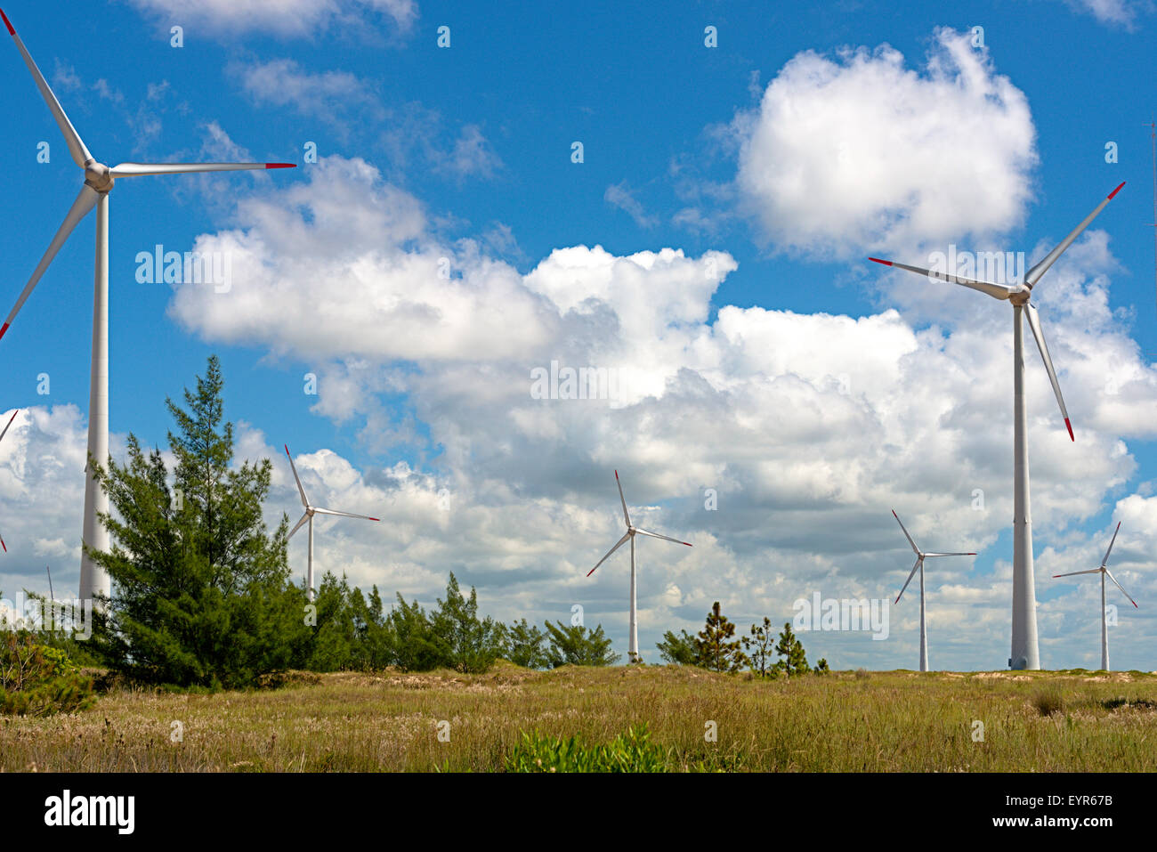 Electricity windmill hi-res stock photography and images - Alamy
