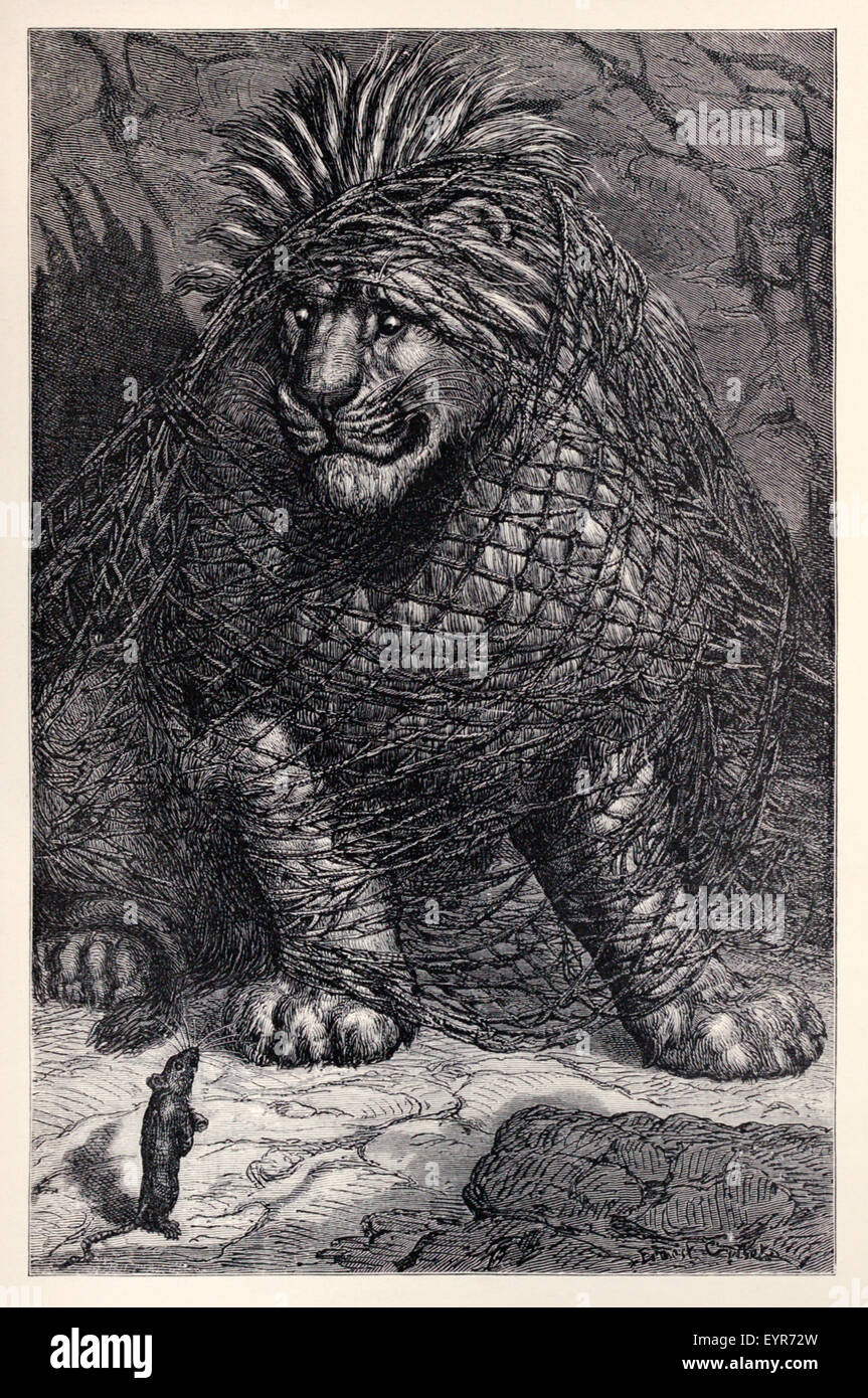 The fable of the lion and the mouse hi-res stock photography and images ...