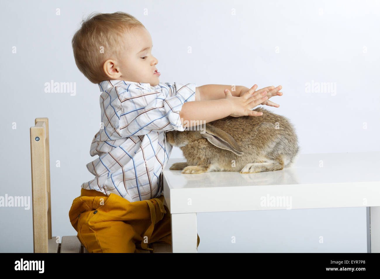 little boy with rabbit on white Stock Photo - Alamy