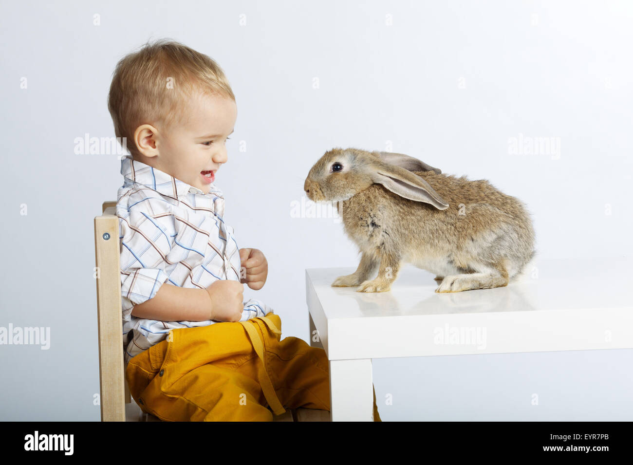 little boy with rabbit on white Stock Photo - Alamy