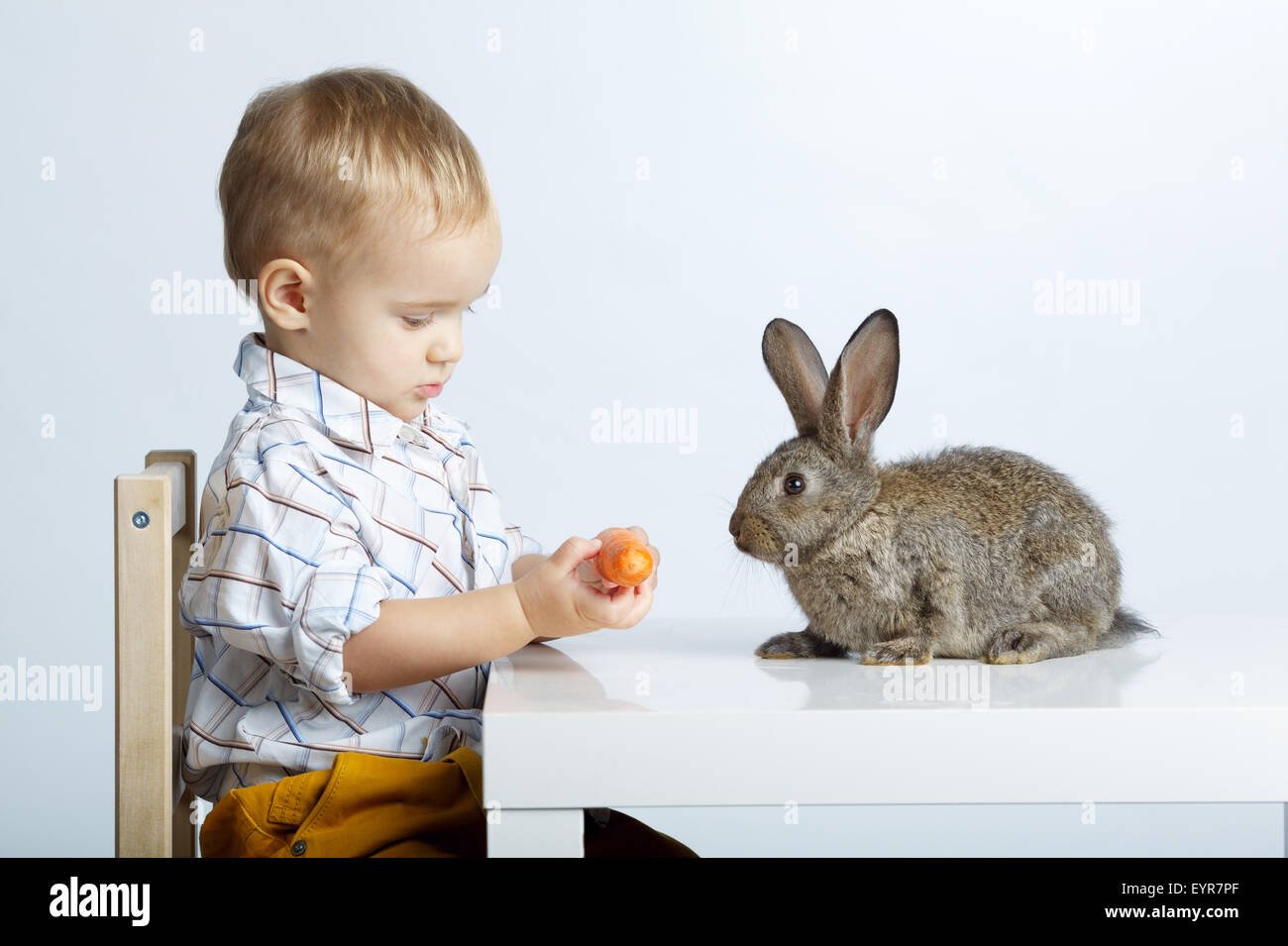 Child feeding rabbit carrot hi-res stock photography and images - Alamy