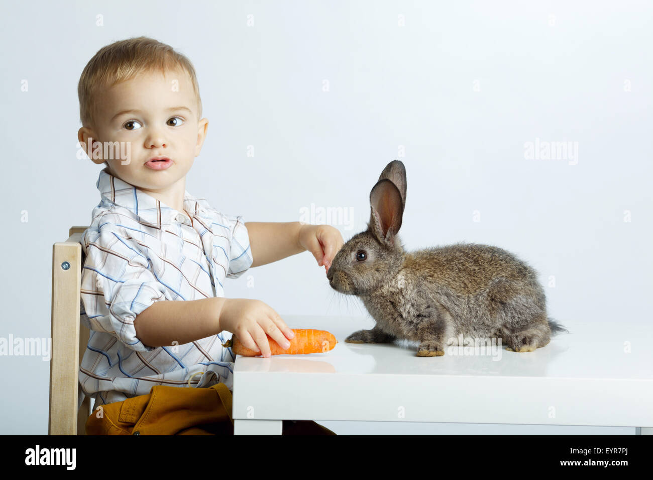 little boy feeding rabbit with carrot Stock Photo - Alamy