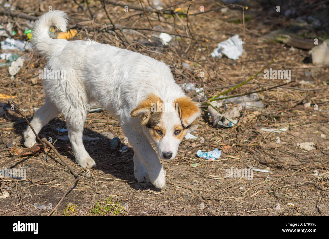 Young scrap hi-res stock photography and images - Alamy