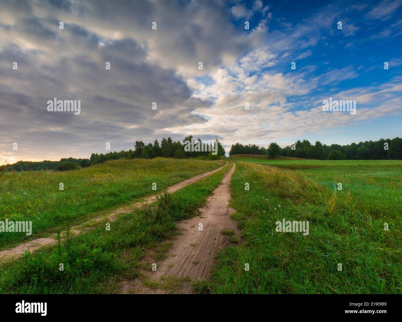 Beautiful sunrise over misty meadow and road. Cludy sky with many ...