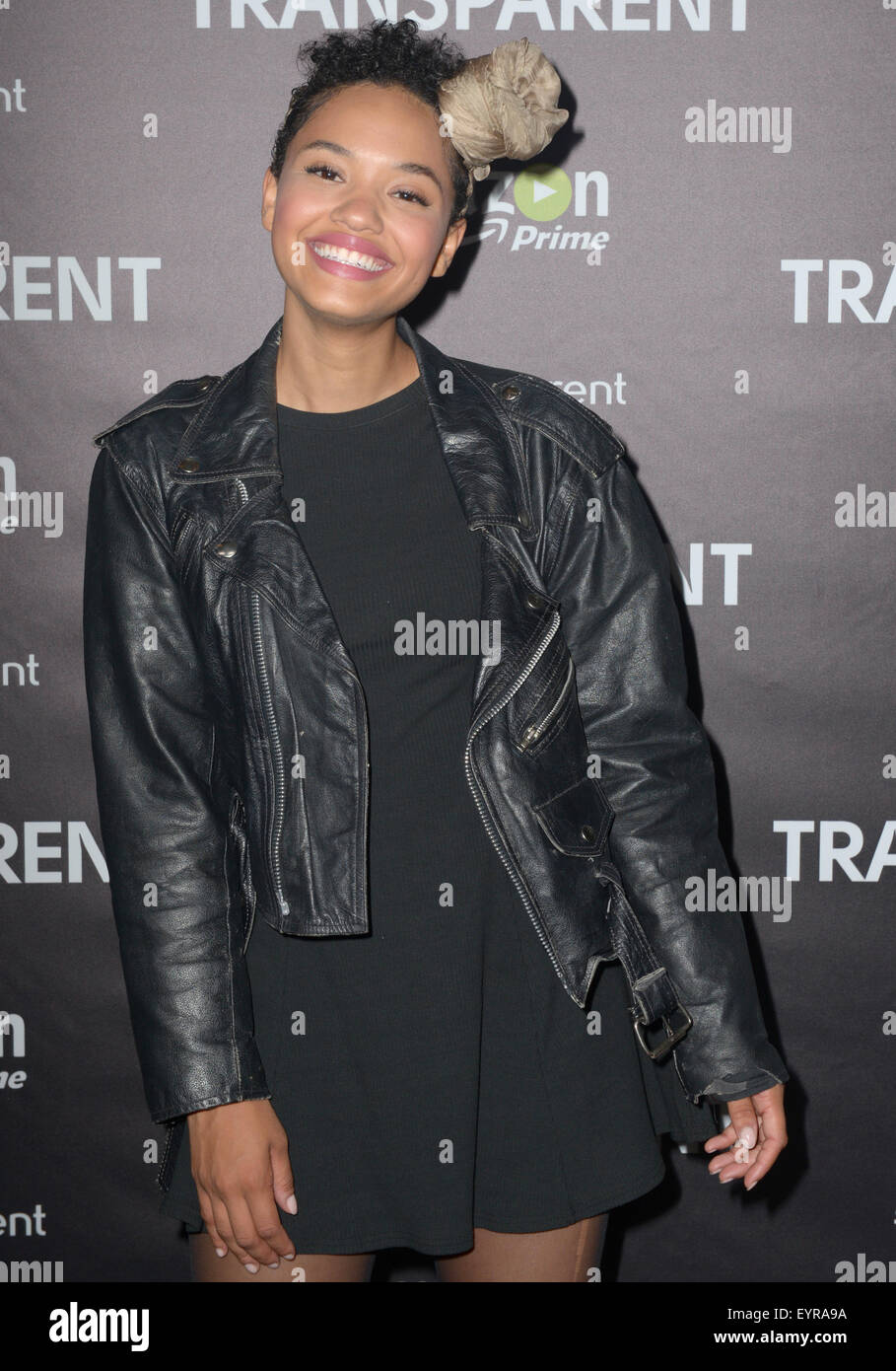 'Transparent' presents 'Meet the Family' Panel Discussion and Q&A ...