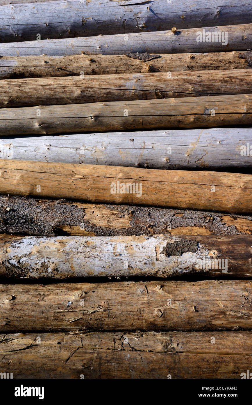 The timber industry hi-res stock photography and images - Alamy