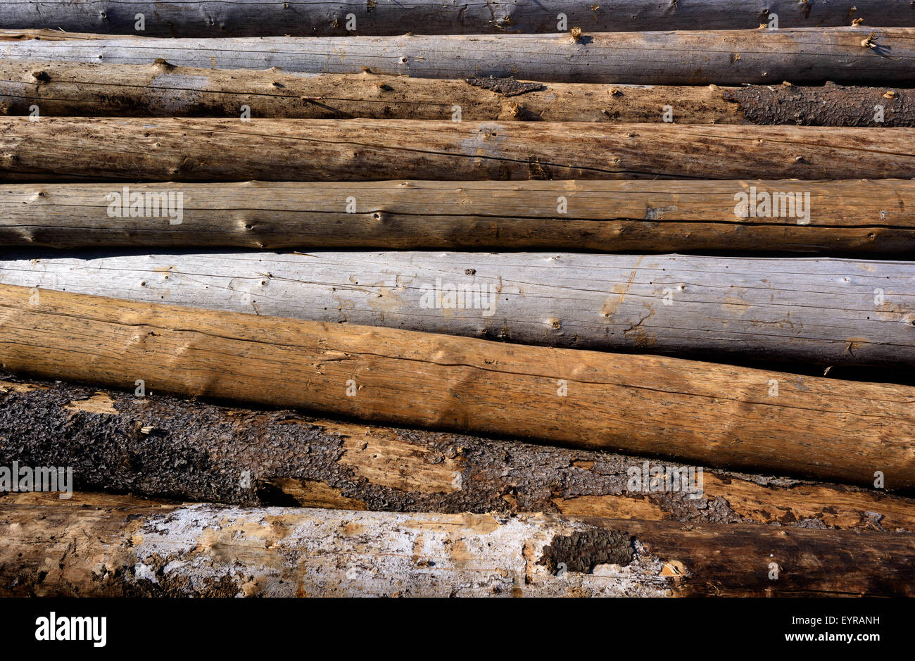 Backgrounds and textures: stack of wood, timber industry or nature ...