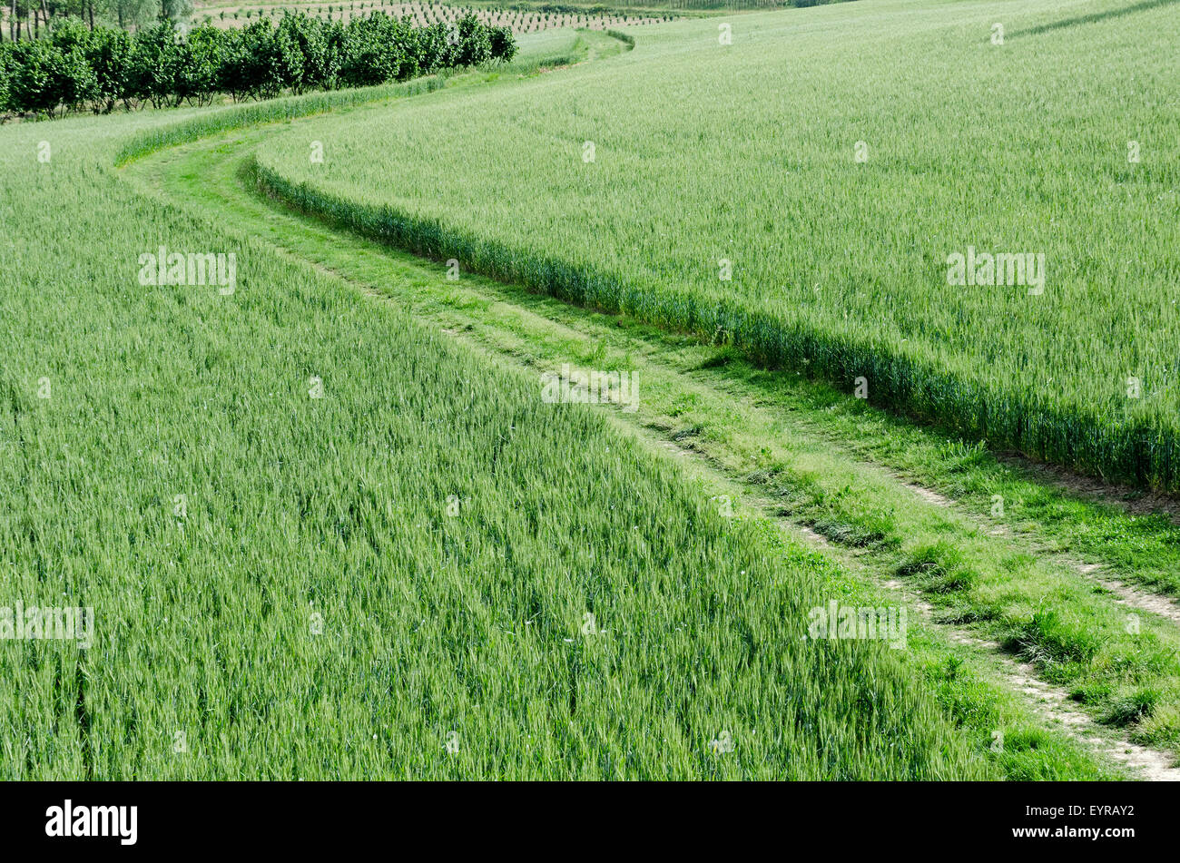 A path in the country Stock Photo - Alamy