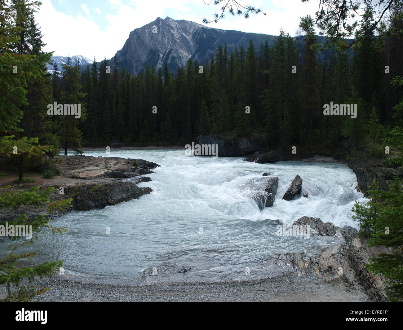 Athabasca River, Alberta, Canada Stock Photo - Alamy