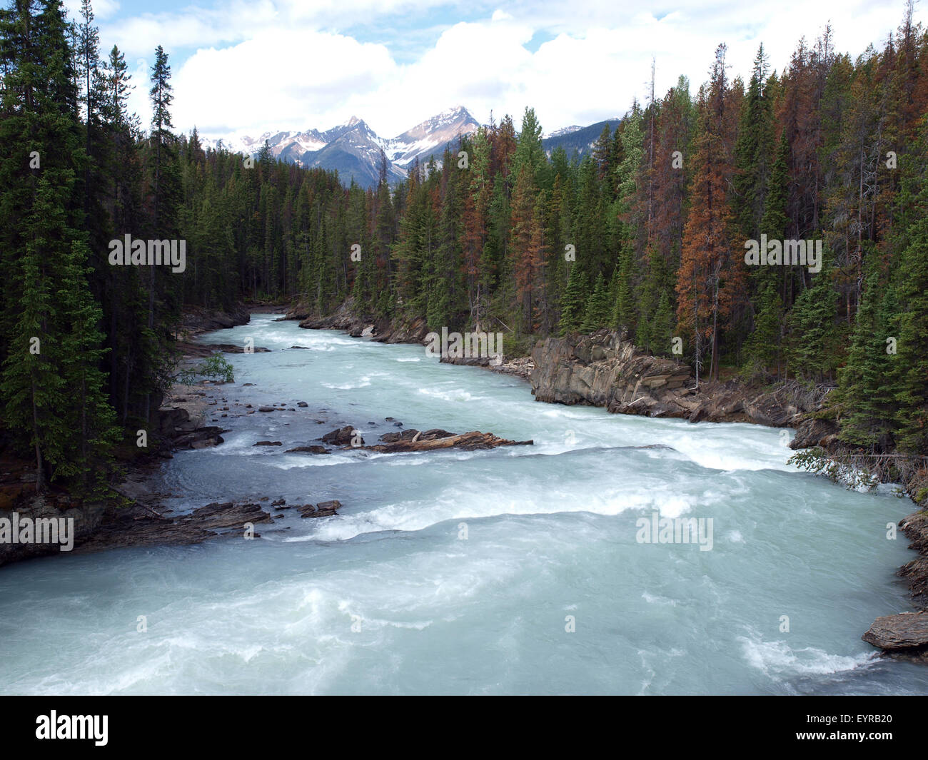Athabasca river alberta hi-res stock photography and images - Alamy