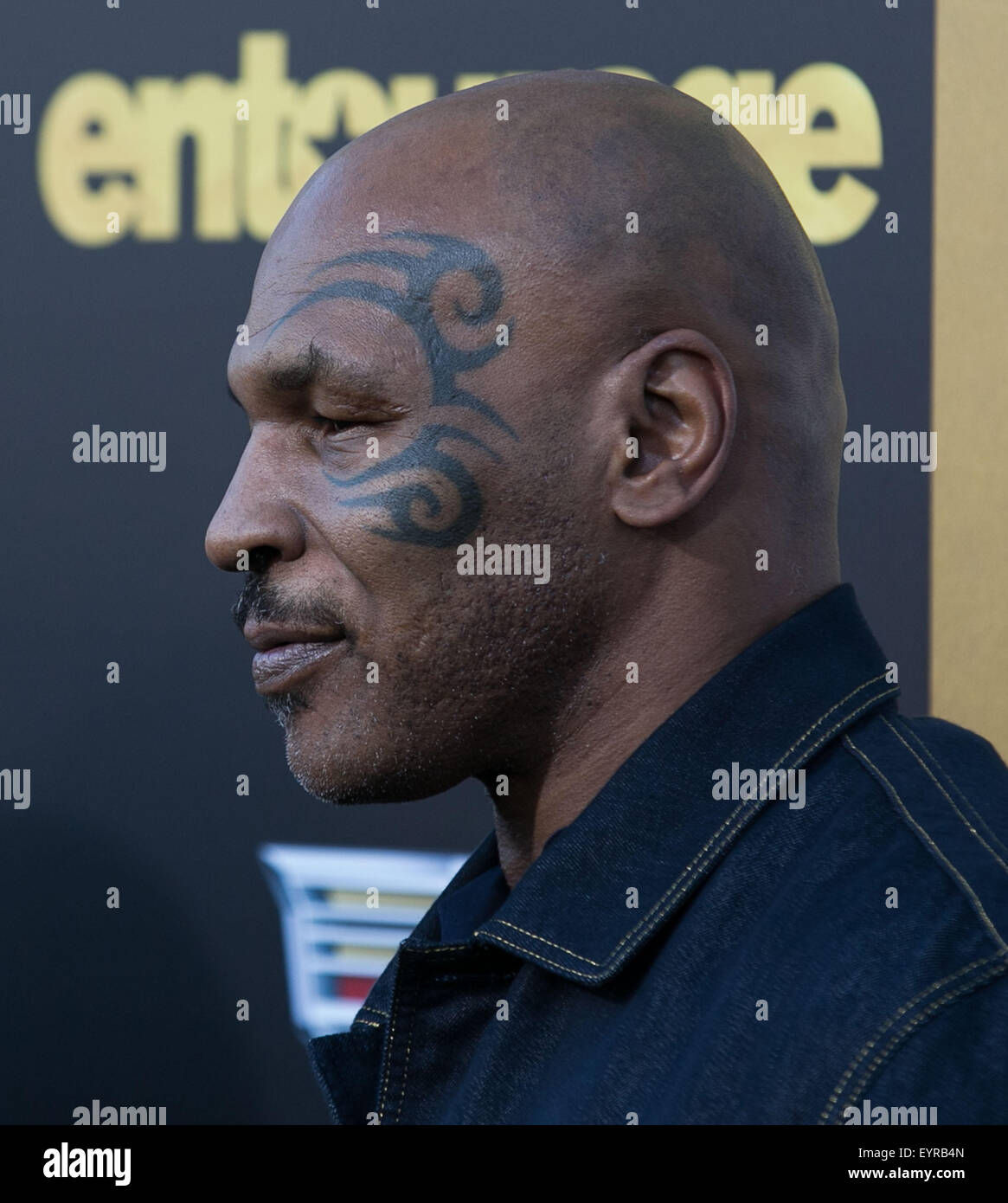 Warner Bros. Pictures' L.A. Premiere of 'Entourage' held at The Regency ...