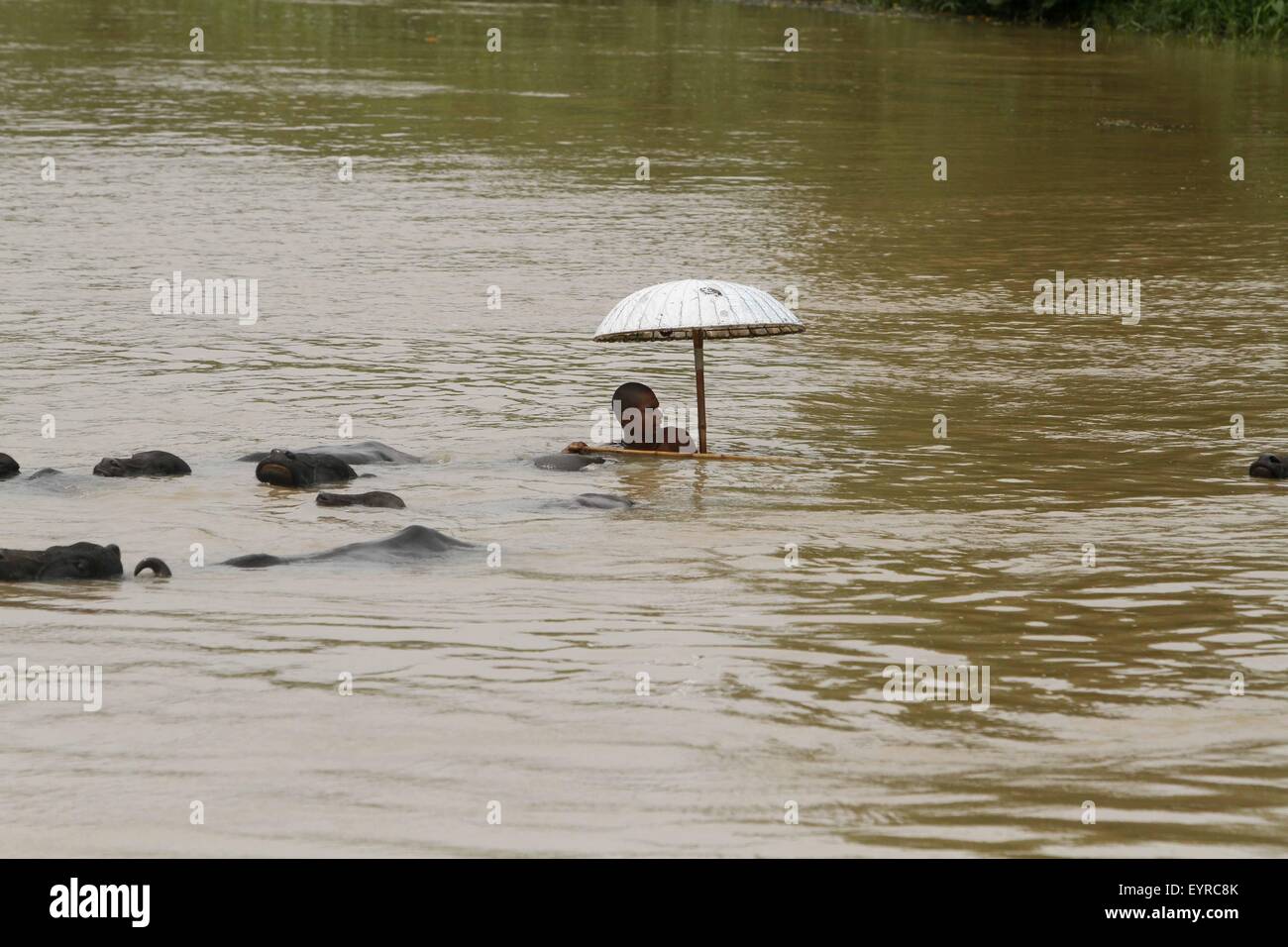 Bhubaneswar, India. 3rd Aug, 2015. A villager goes across the flooded ...