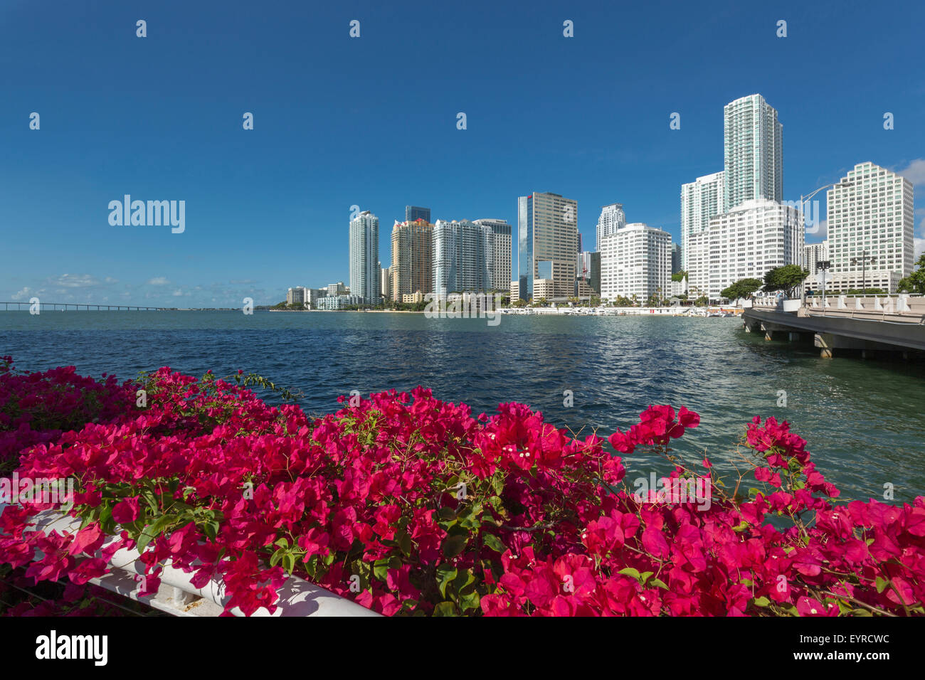 Pink skyline hi-res stock photography and images - Alamy