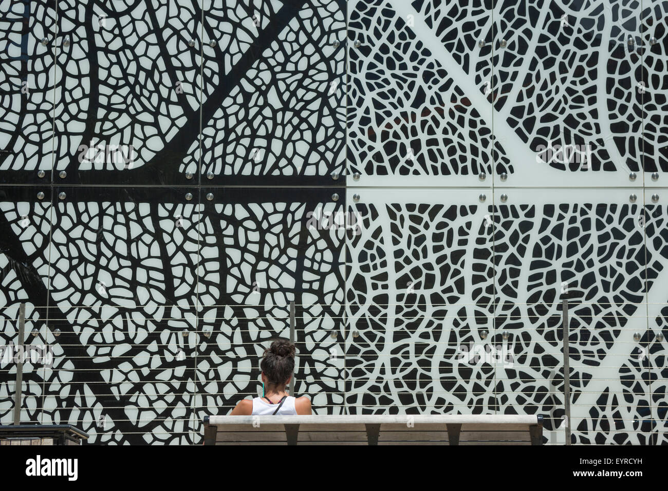 WOMAN SITTING ON PUBLIC BENCH LEAF PATTERN ART PANELS FIFTH STREET ...