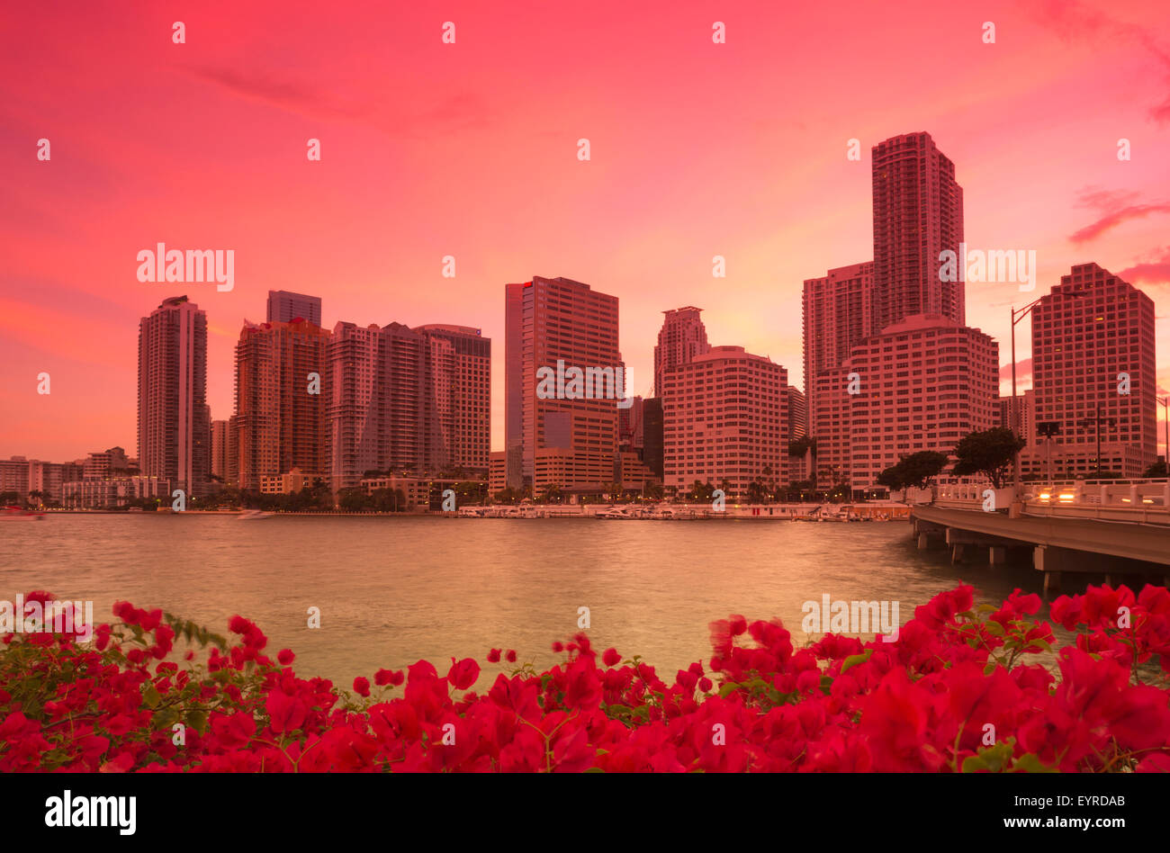 Pink miami sunset hi-res stock photography and images - Alamy