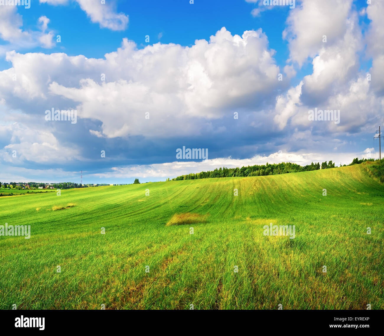Hilly field of green grass and blue sky with cumulus clouds. Rural ...
